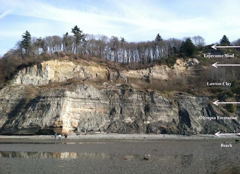Discovery Park bluffs tell the story of Seattle’s glacial history – Ice ...